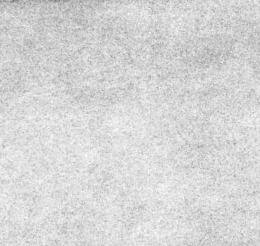 Snowtex 270 gsm - Haysdale